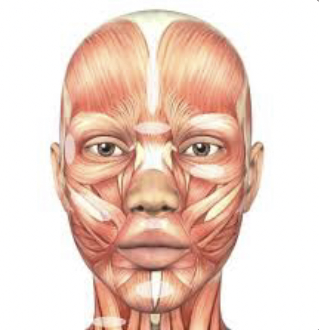 VTCT Level 2 in Facial massage and Skincare - Pampering Angels